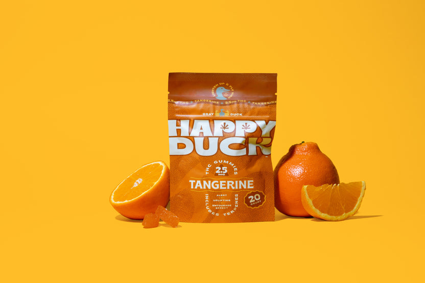 Happy Duck – BKR Brands